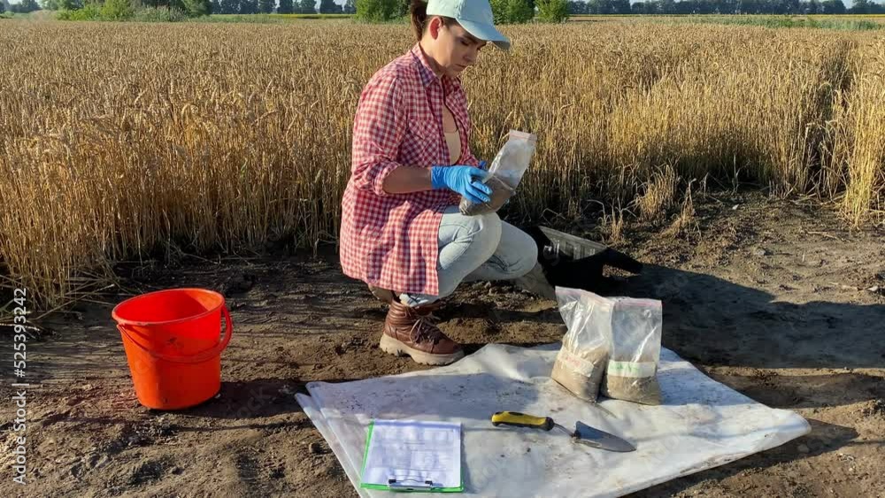 Female agronomist preparing soil samples laboratory analysis, marking ...