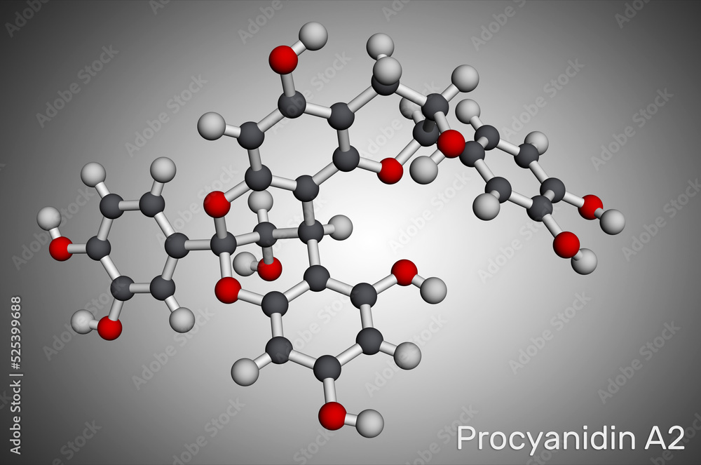 Procyanidin A2, proanthocyanidin A2 molecule. It is natural product ...