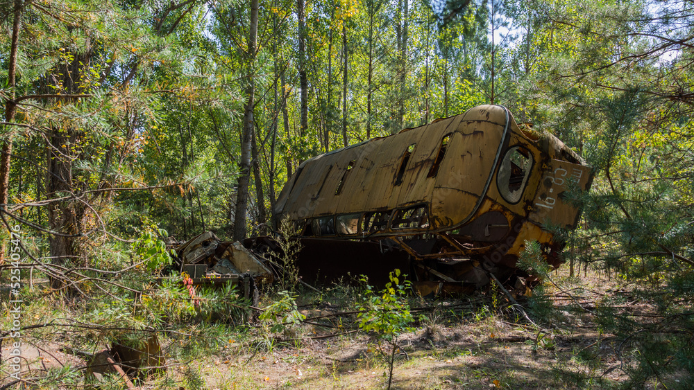 Destroyed abandoned bus in the middle of the forest in ghost city ...