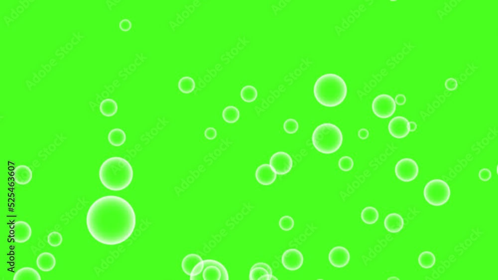 Animation of soap bubbles rising across the green screen. Transparent ...