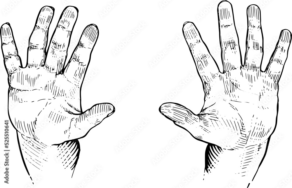 Hands open as stop sign.Hand language, pause, non-verbal communication ...