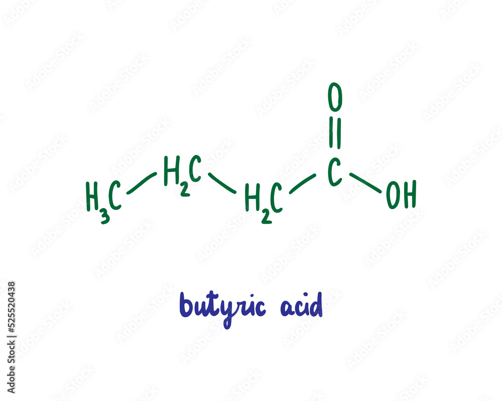 Butyric acid hand drawn vector formula chemical structure lettering ...