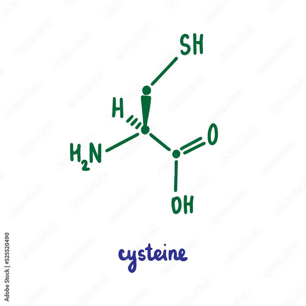 Cysteine hand drawn vector formula chemical structure lettering blue ...