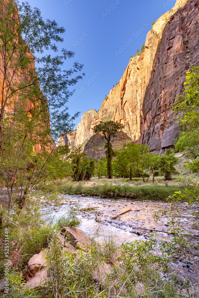 Virgin river at Zion National park vertical view of riverbed with Zion ...