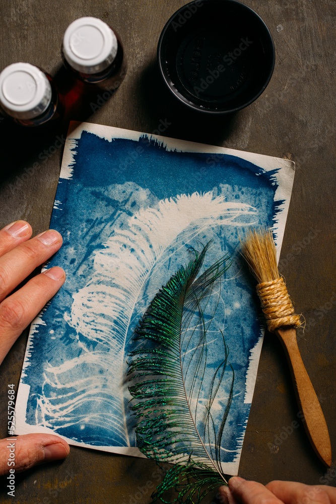 Peacock feather cyanotype Stock Photo | Adobe Stock