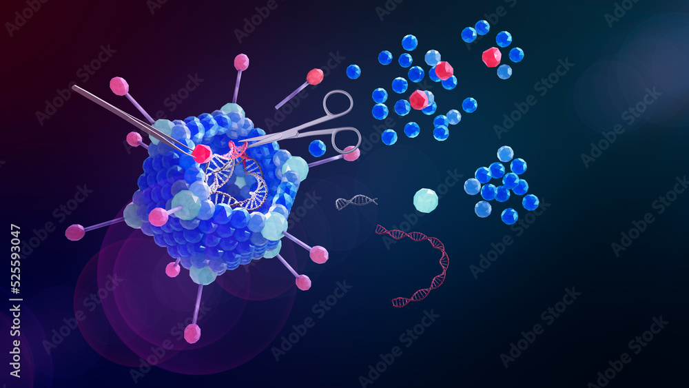 Genetic engineering, genetically modified virus can be used for gene ...