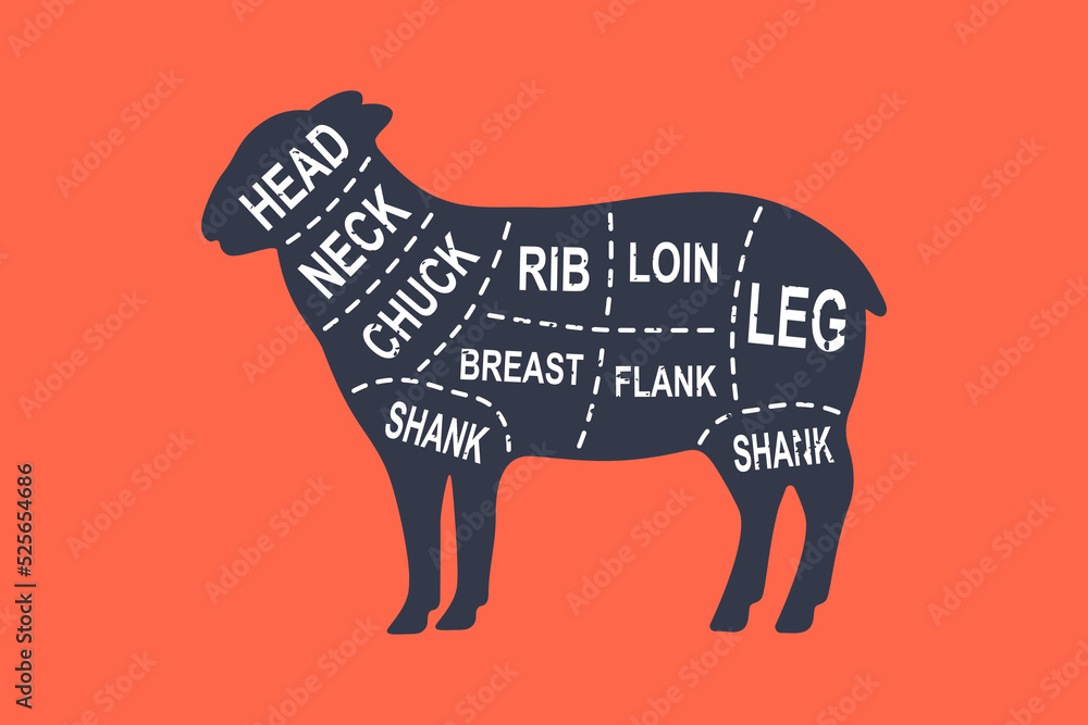 Sheep diagram cuts. Butcher scheme poster. Cuts of sheep meat. Meat ...