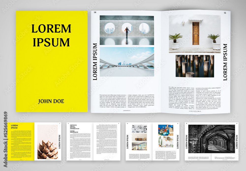 Portfolio and Curriculum Brochure Stock Template | Adobe Stock