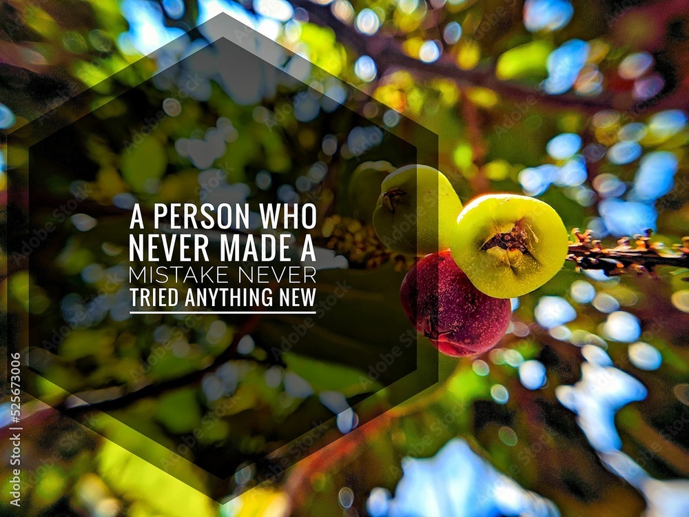 the words A person who never made a mistake never tried anything new ...