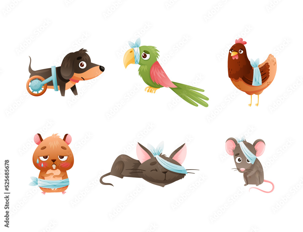 Set of sad sick animals. Unhappy dog, parrot, hen, hamster, cat, mouse ...