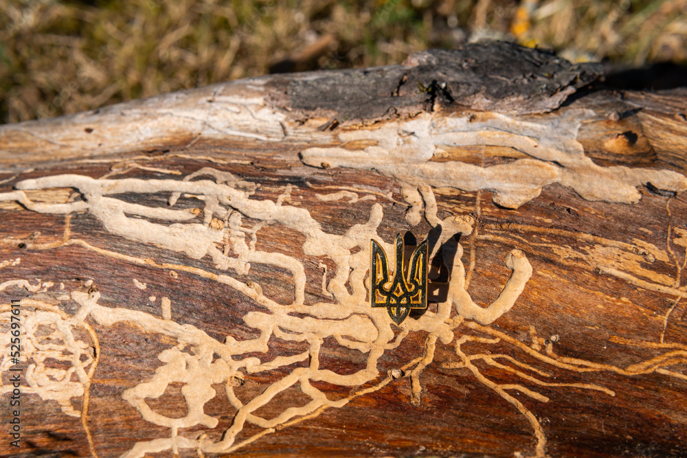 Little badge of Ukrainian herb, golden trident, Coat of arms of Ukraine ...