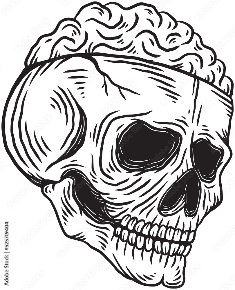 Skull Brain Bones Head Hand drawn Hatching Outline Style Mystical ...