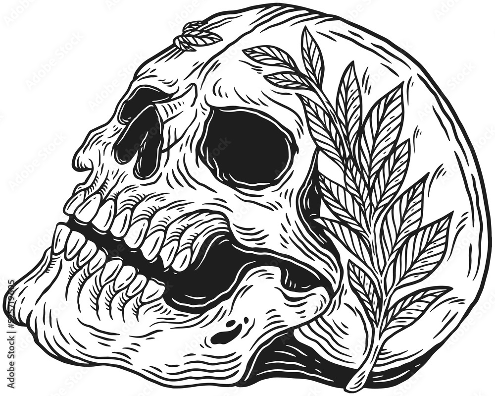 Dark illustration Beast Skull Bones Head Hand drawn Hatching Stock ...