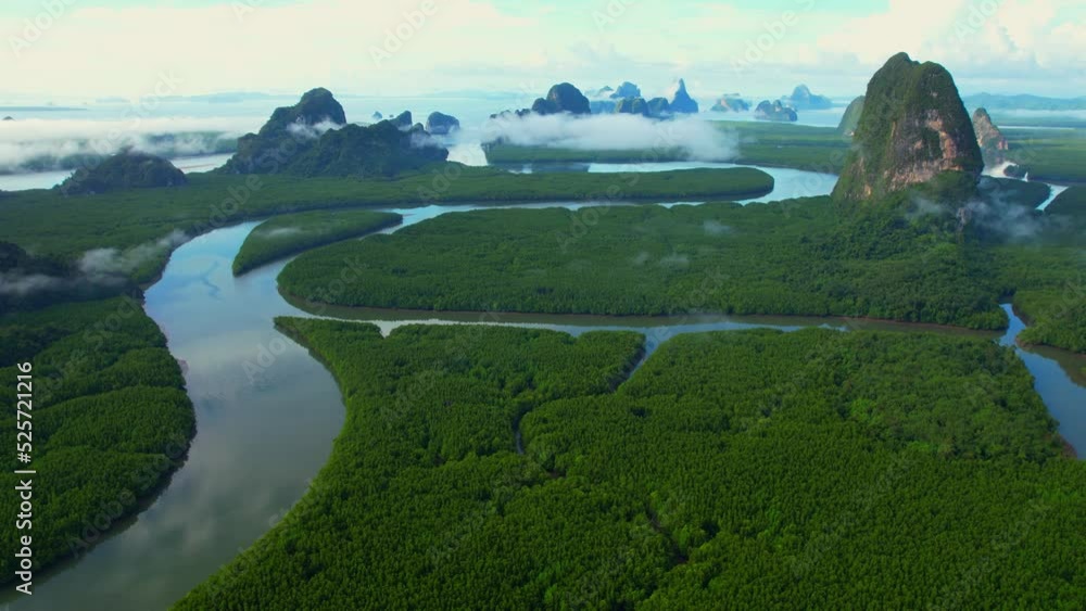 Aerial view over the bends river and mangrove forests during sunrise ...