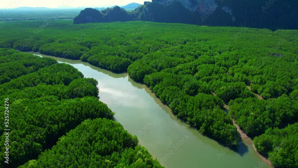 Vidéo Stock Aerial view over rivers and streams at beautiful large ...