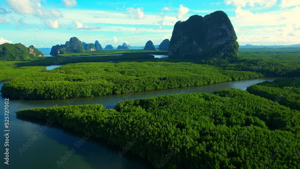 Drones are flying over winding rivers and large mangrove forests near ...