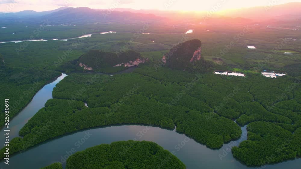 Aerial view over rivers and streams at beautiful large mangrove forests ...