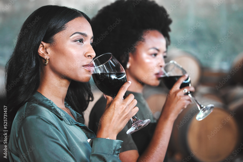 Luxury, hospitality and friends at wine tasting event, drink and ...