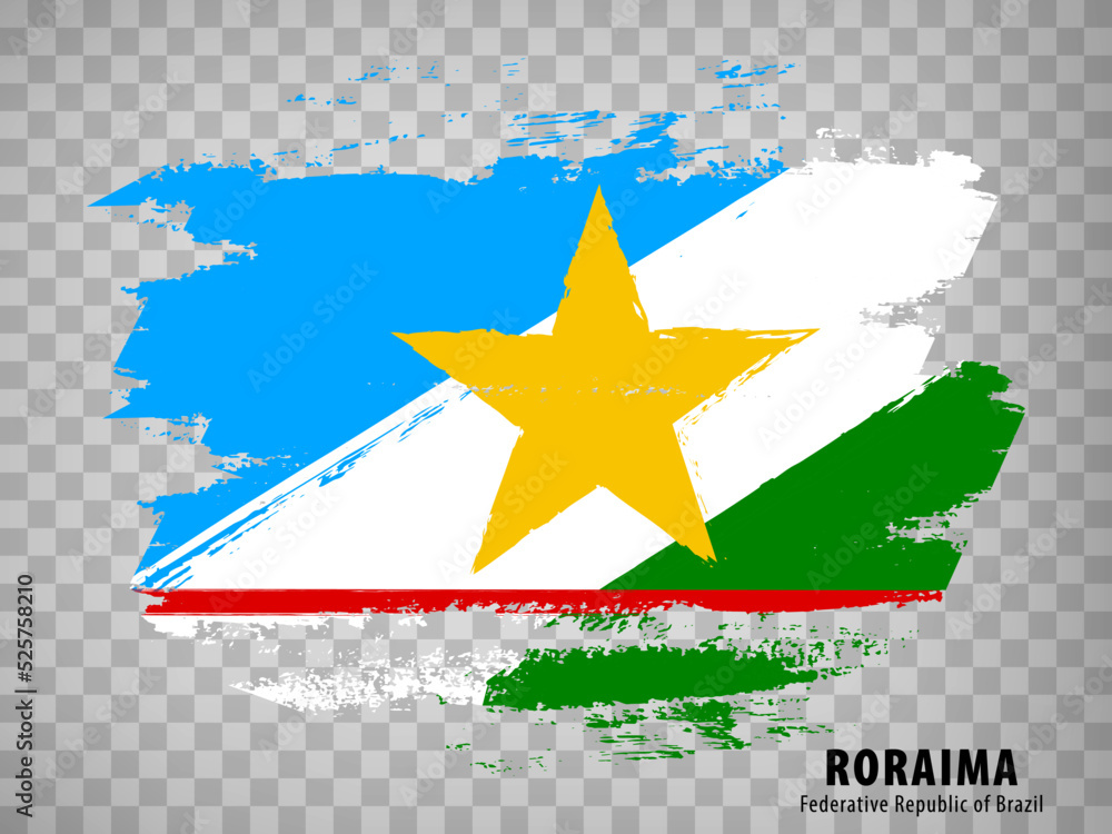 Flag of Roraima from brush strokes. Federal Republic of Brazil. Flag ...