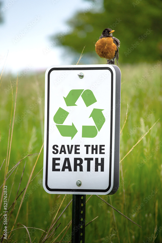 Bird leaning on a sign with "Save the earth" and recycle symbol ...