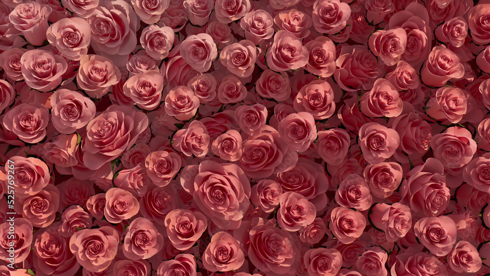 Romantic, Beautiful Wall background with Roses. Pink, Floral Wallpaper ...