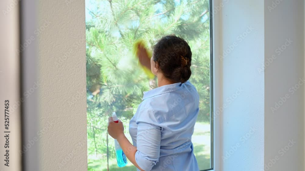 Multi-ethnic maid doing household chores wiping windows, spraying ...