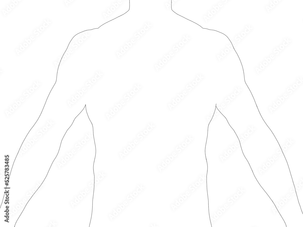 The contour of the torso of a sports man from black lines isolated on a ...