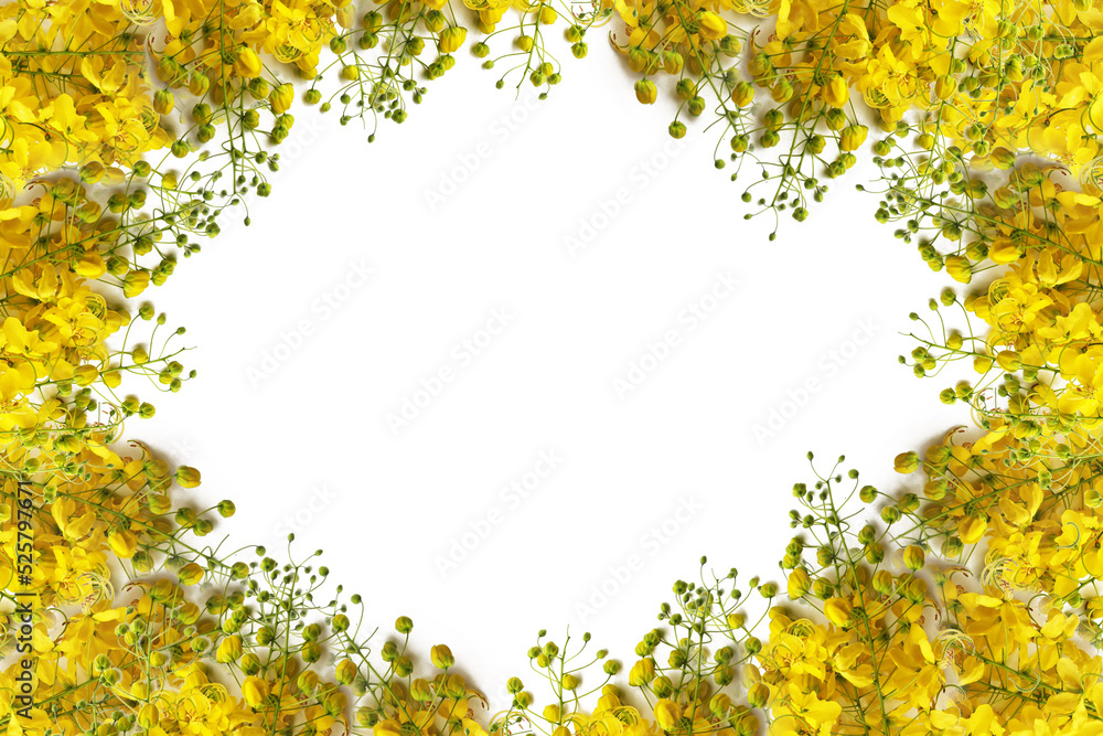 Flower border Frame Background, Flower Background, Floral Frame ...