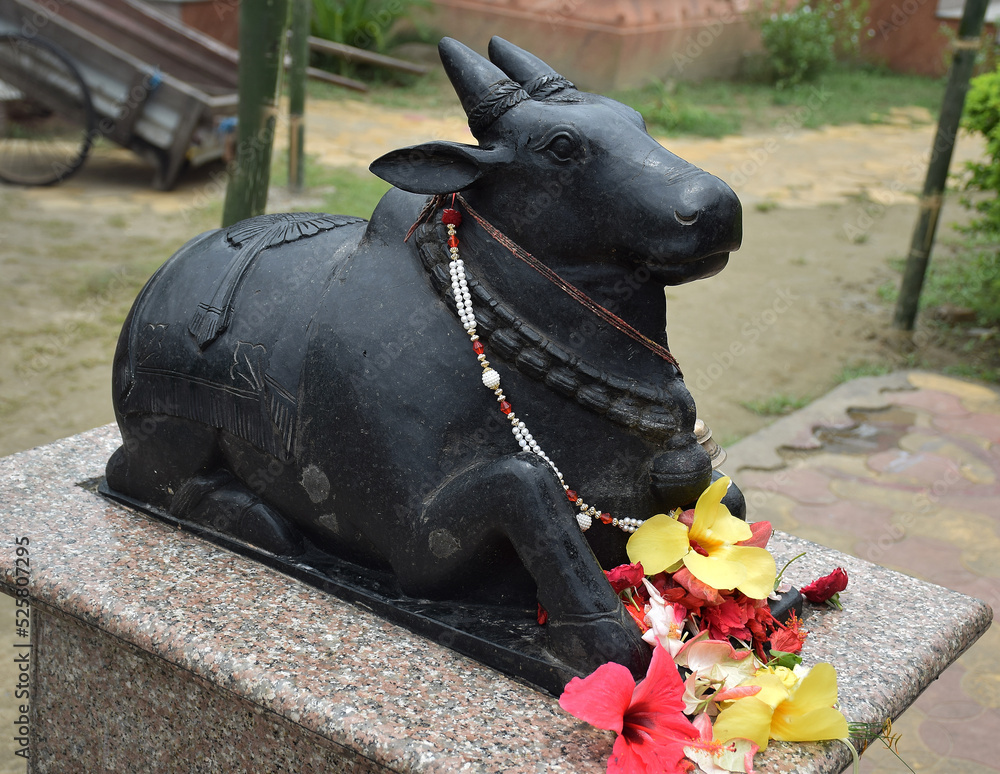 Idol of Nandi the sacred bull of the Hindu god Shiva at a temple in ...