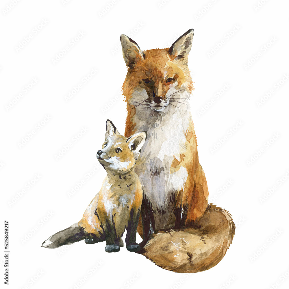 Beautiful stock illustration with hand drawn watercolor forest wild fox ...