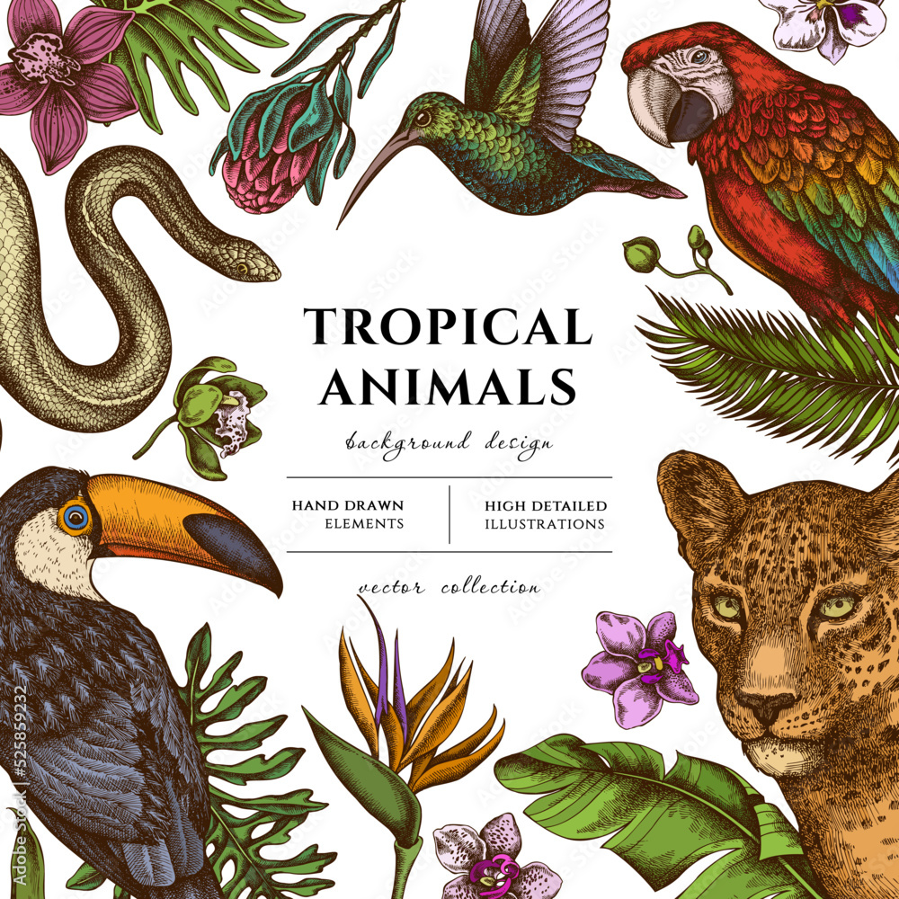 Tropical animals hand drawn illustration design. Background with retro ...