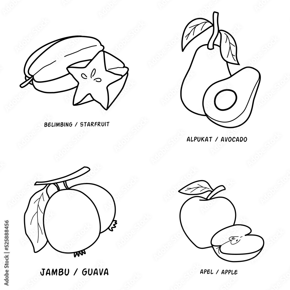 Vector illustration of fruits coloring page with the name of each fruit ...