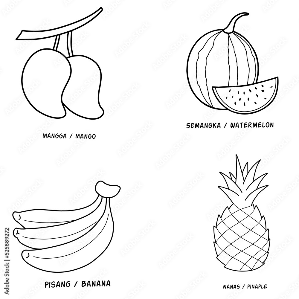 Vector illustration of fruits coloring page with the name of each fruit ...