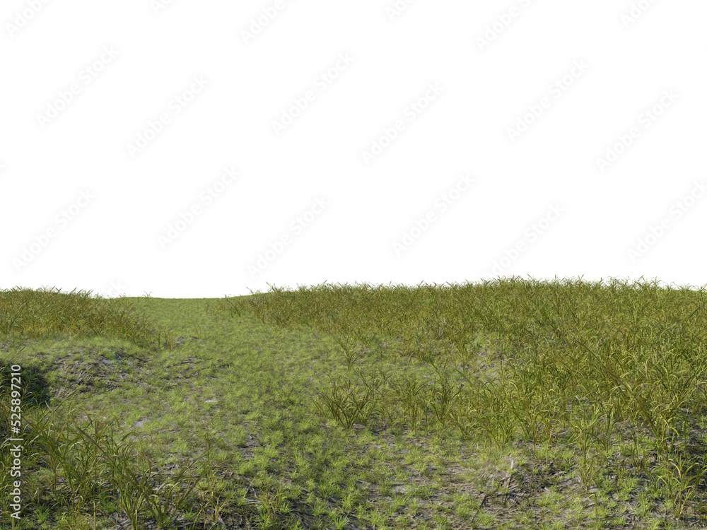 Grass Foreground Floor with Perspective, Transparent Background PNG ...