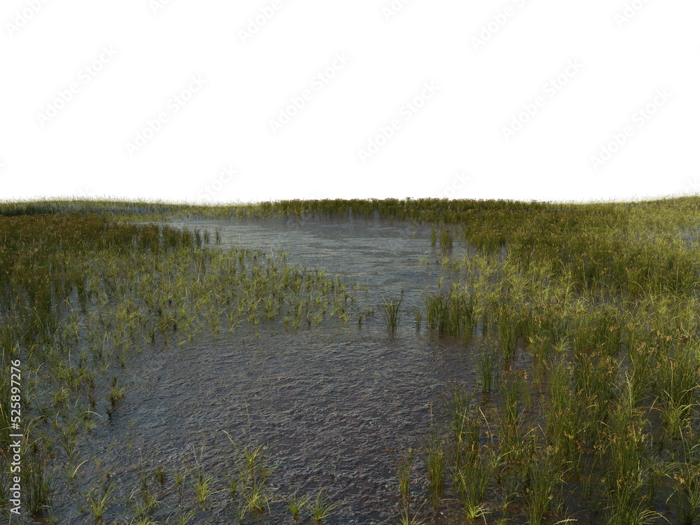 Grass Foreground Floor with Perspective, Transparent Background PNG ...