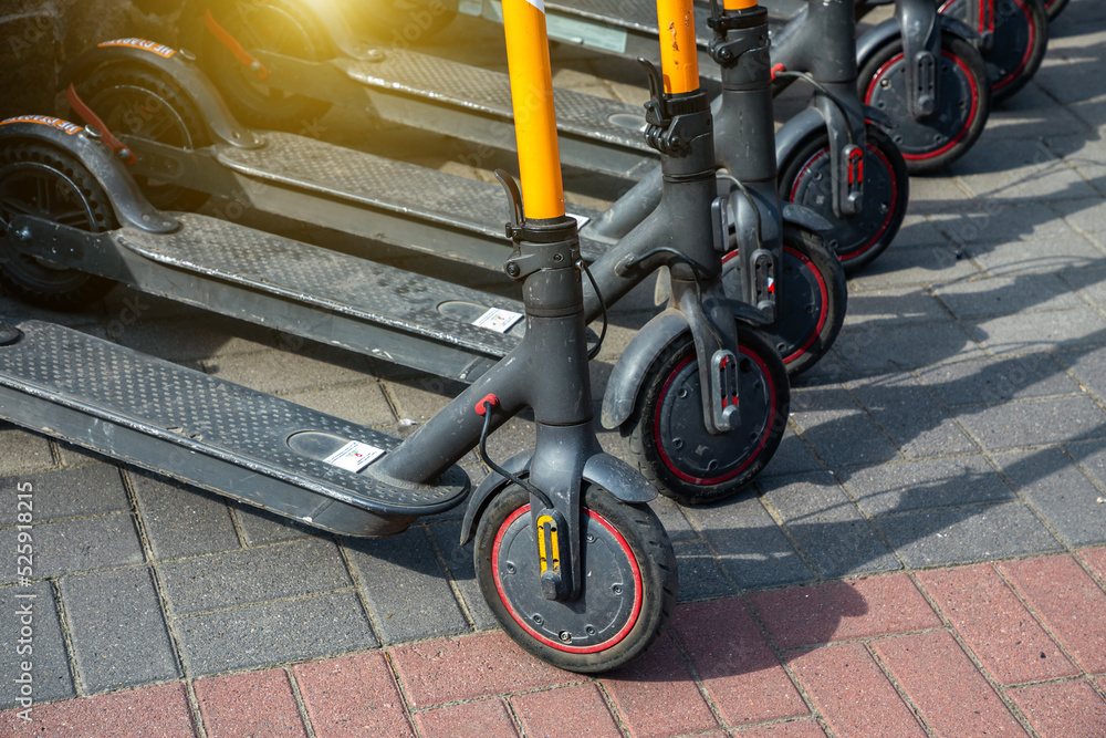 Electric scooters in the parking lot. Scooter rental for a trip around ...