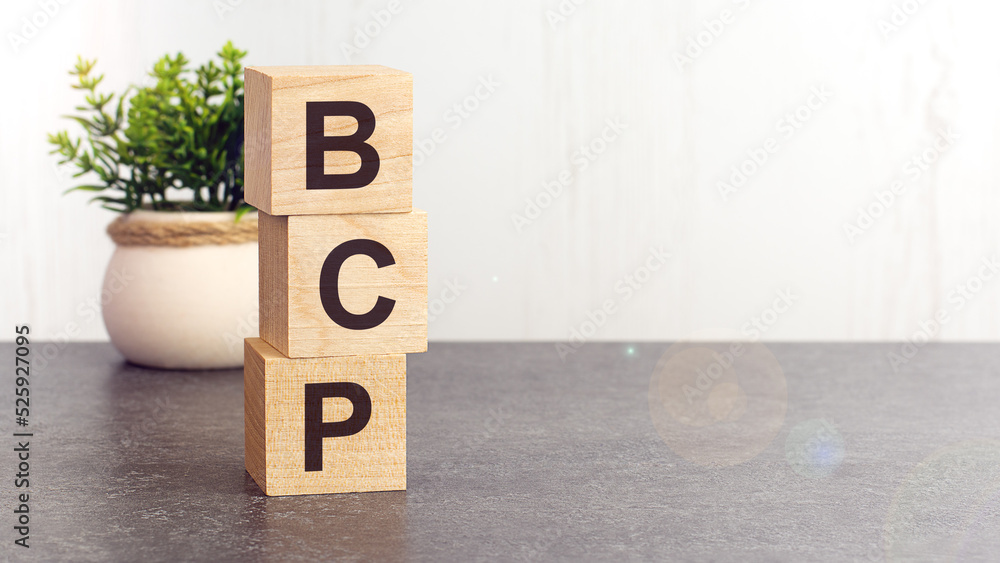 letters of the alphabet of BCP on wooden cubes, green plant, white ...