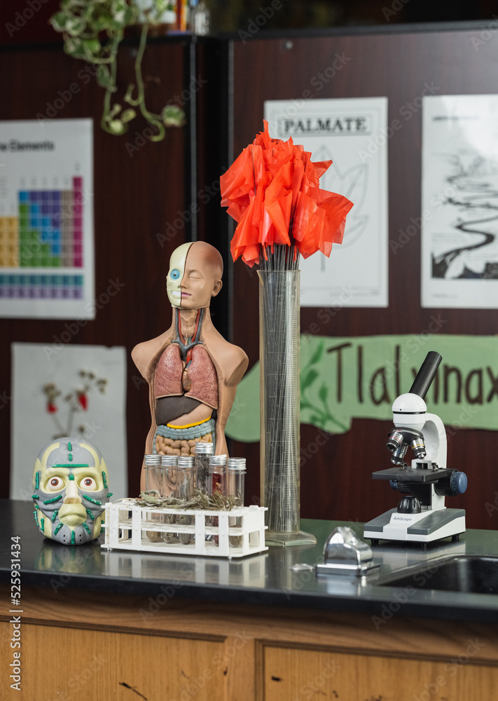 Horizontal image of lab equipment on a lab table Stock Photo | Adobe Stock