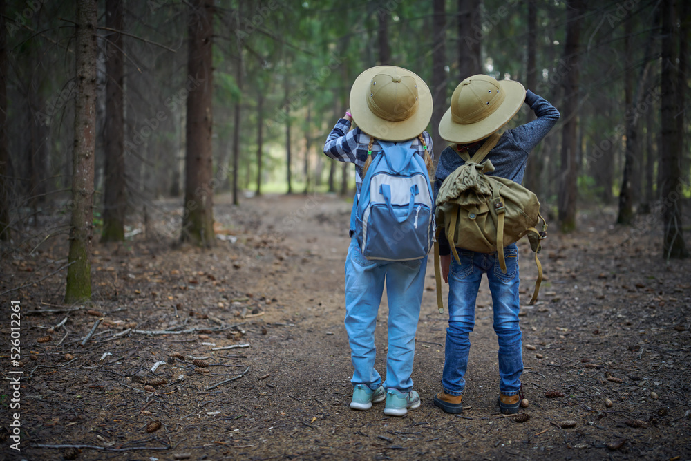 children exploring forest Stock-Foto | Adobe Stock