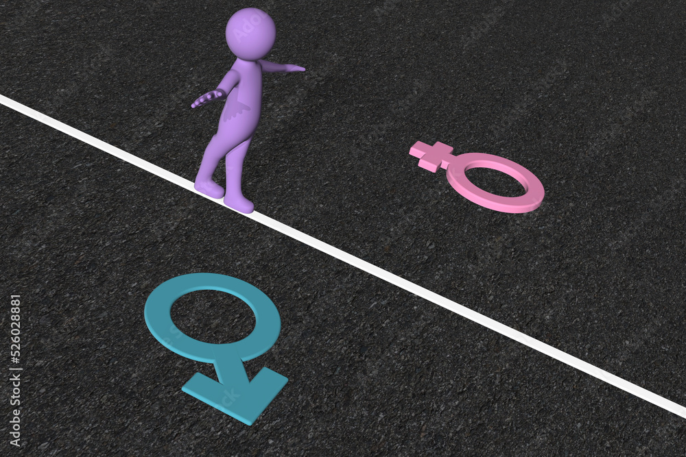 3D rendered male female symbols or signs representing gender choice or ...