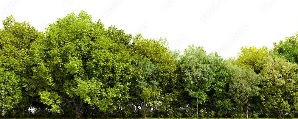 Row of trees isolated on transparent background. 3D rendering ...