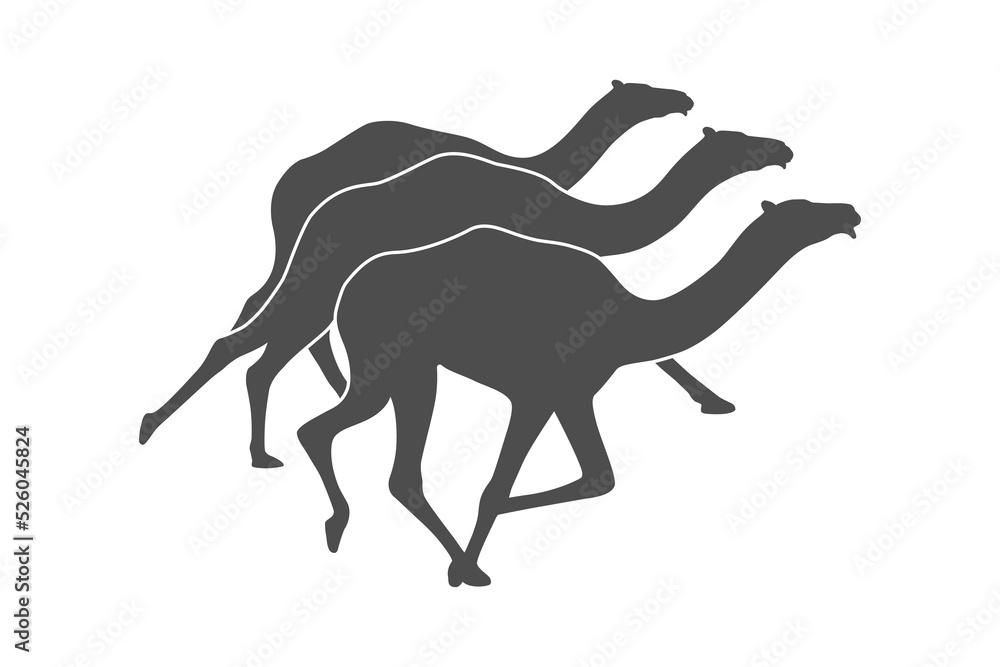 Running camels graphic sign isolated on white background. Symbol camel ...