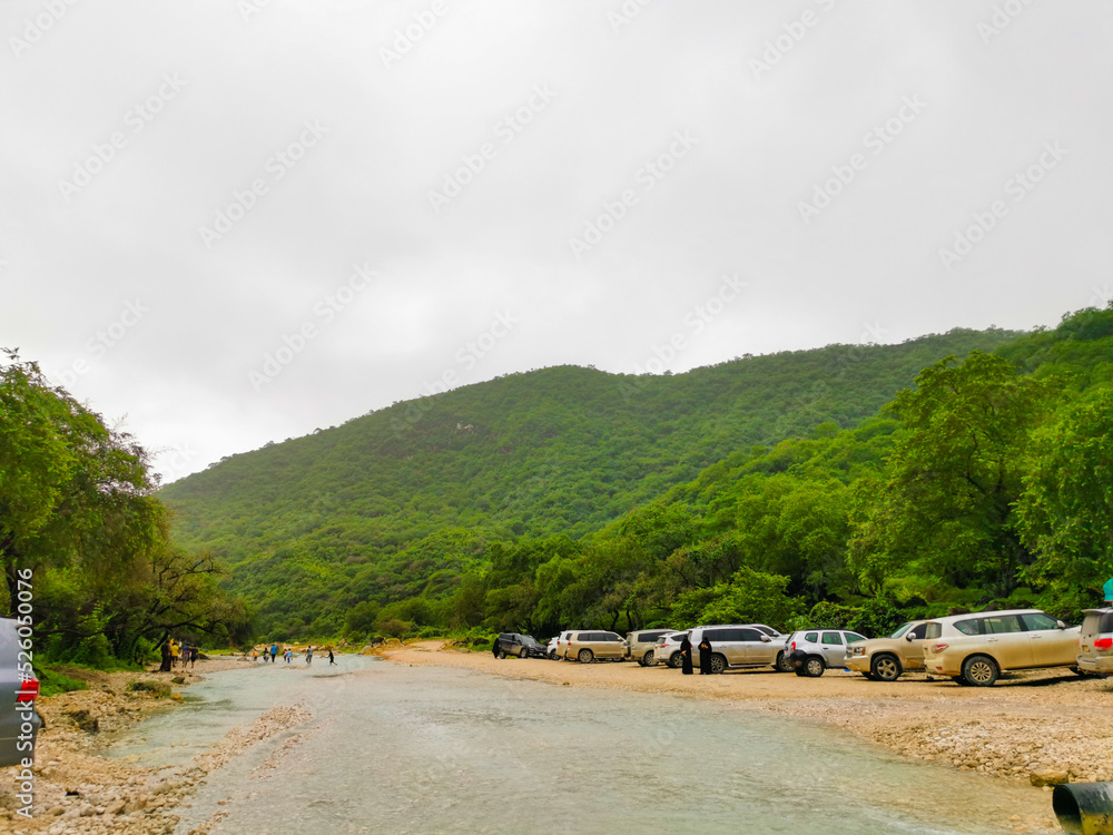 Salalah in Oman, season of Khareef A view of green nature Stock Photo ...