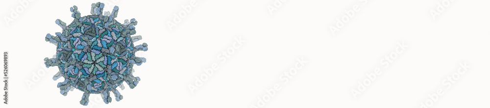 Atomic model (3D rendering) of an infectious rotavirus virion ...