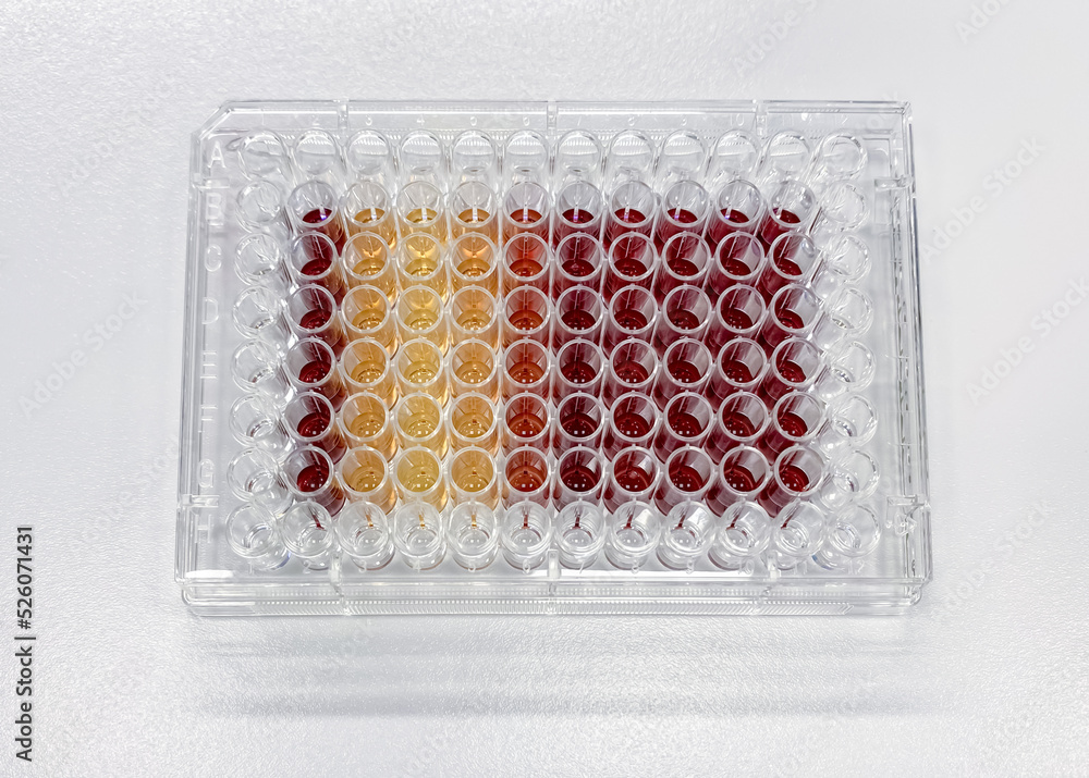 A 96-well plate that was used to study dose-response of an anticancer ...