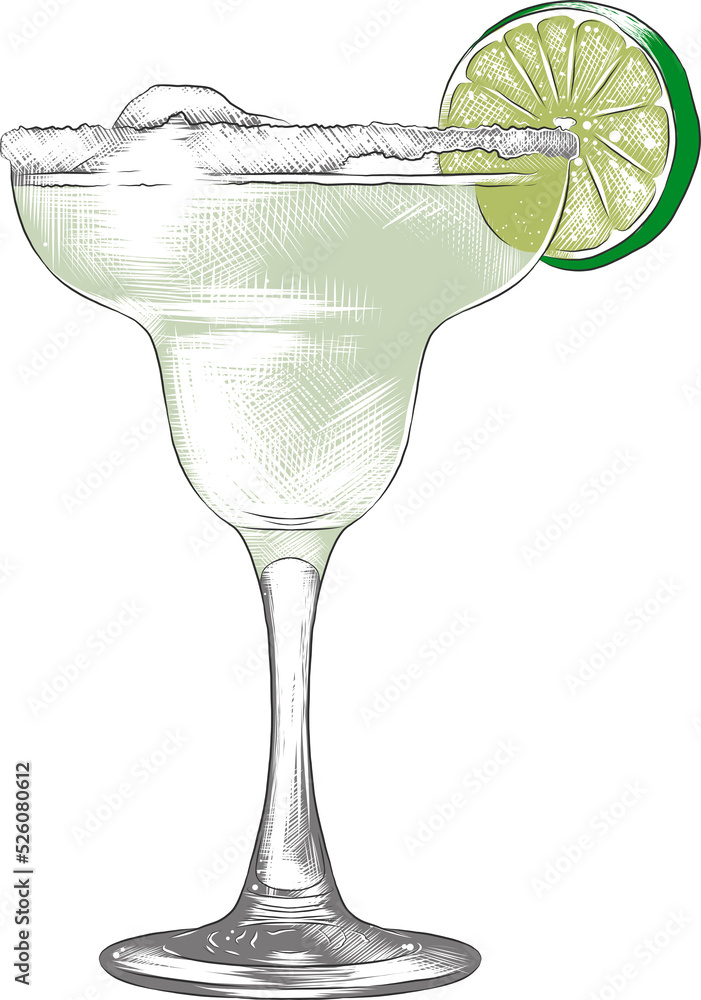 PNG engraved style illustration for posters, decoration and print. Hand ...