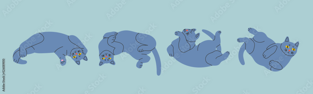Blue lazy playful Cats lying in various poses. Uncomfortable positions ...