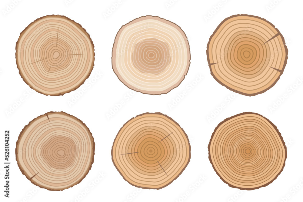 Set of tree cross sections. Wooden elements with tree rings.Isolated on ...