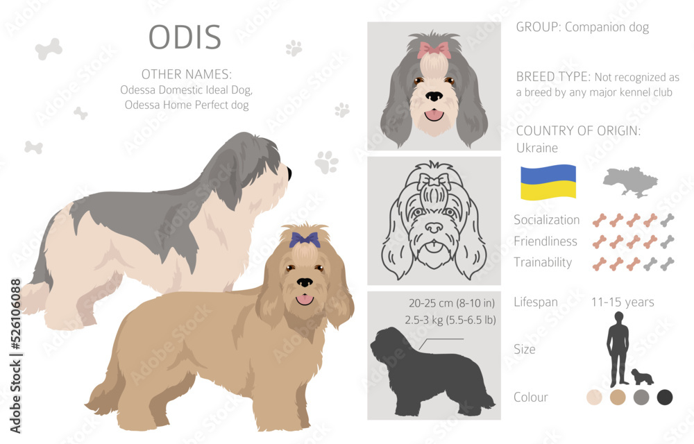 Odis dog clipart. Different poses, coat colors set Stock Vector | Adobe ...