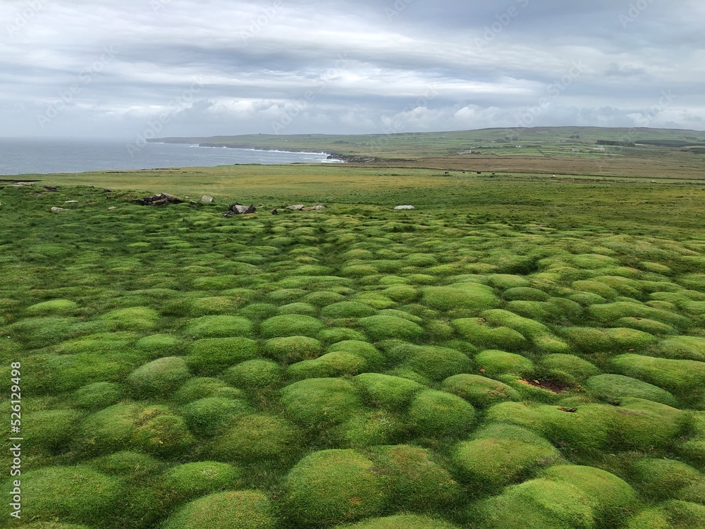 Fascinating green fields of Downpatrick Head, north of picturesque ...